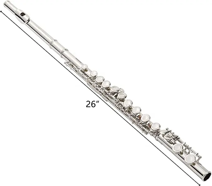 Drumroll FL220 professional student Flute – Key Note Music